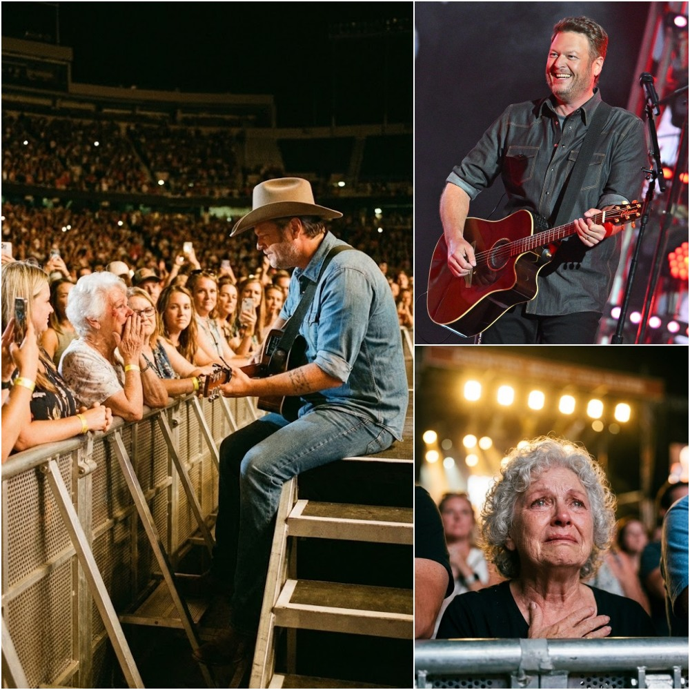 HE DIDN’T SING FOR THE STADIUM — HE SANG FOR THE SWEETEST LADY IN THE ...